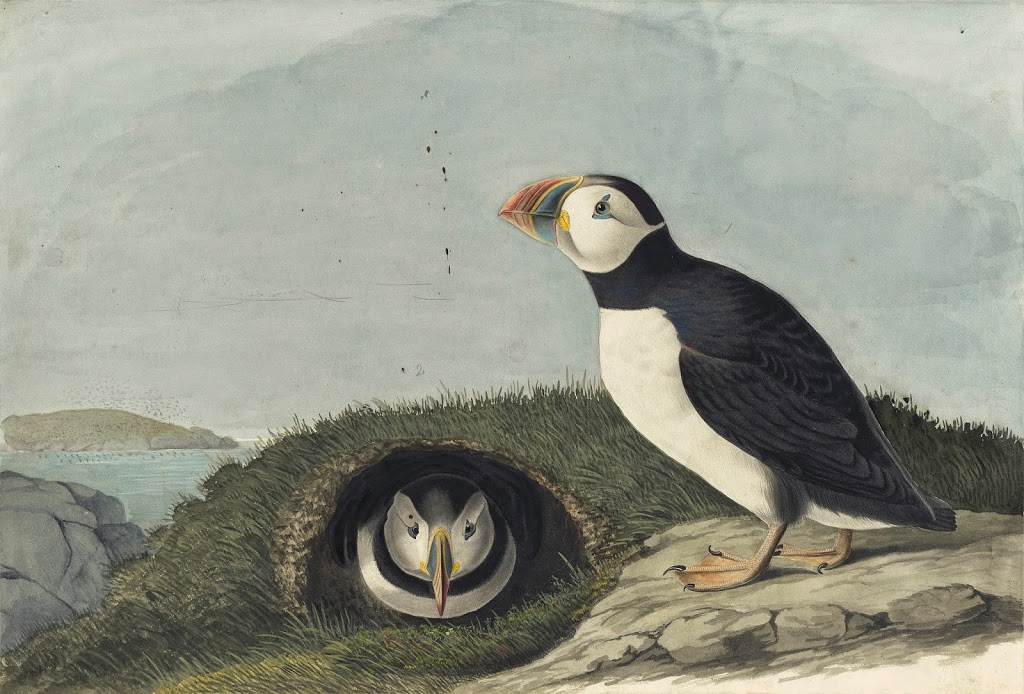 33 - The Bowery Boys: New York City History