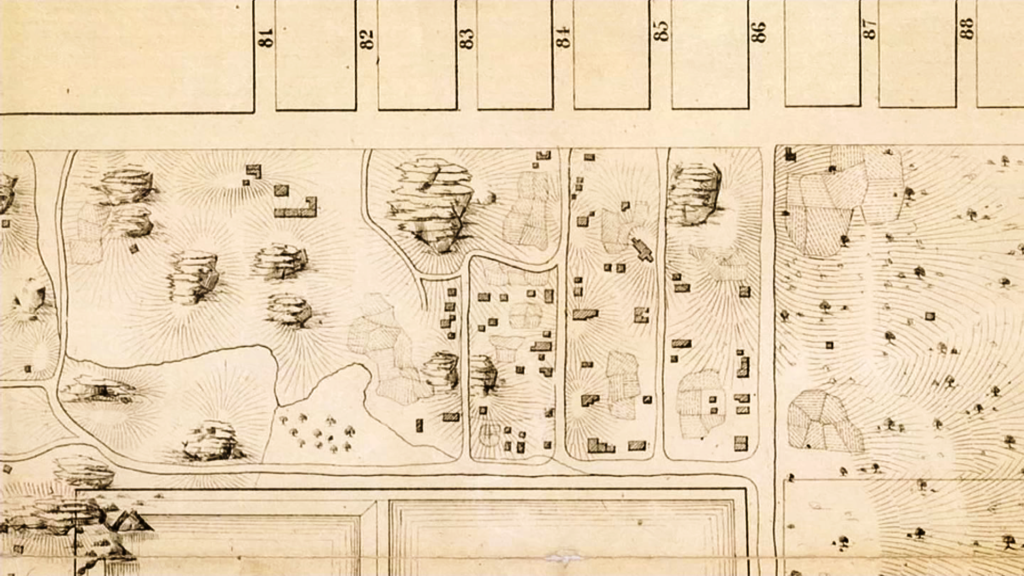 Seneca Village and Other Stories of New York's Forgotten Black ...