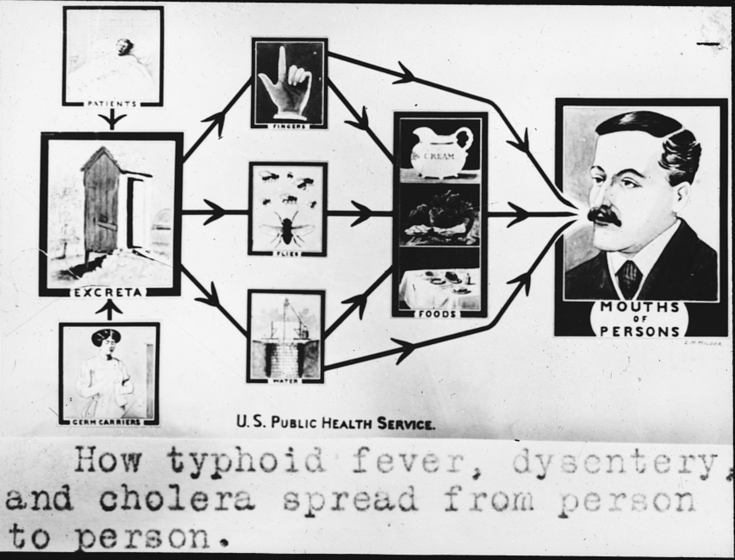 The Curious Case of Typhoid Mary: The Race to Quell an Epidemic - The ...