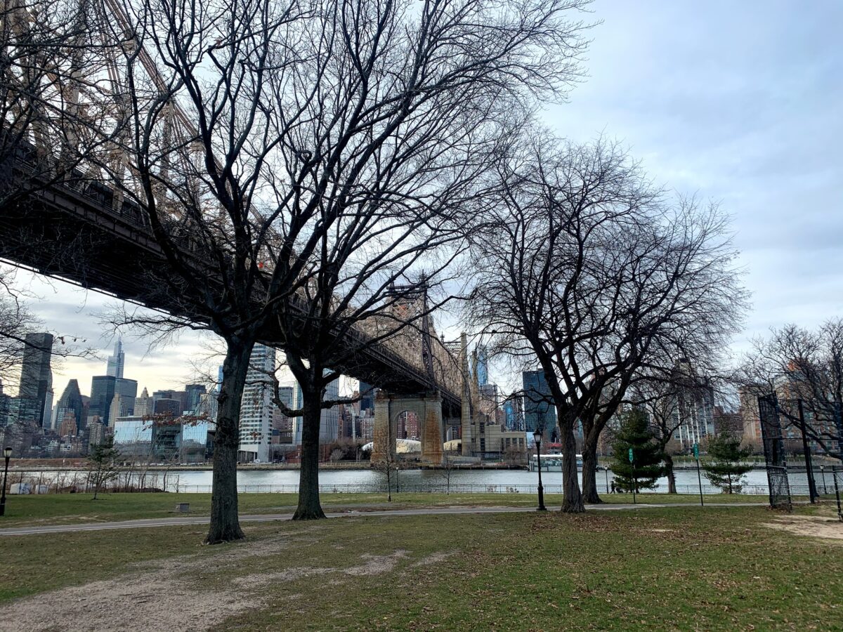 The Queensboro Bridge and the Rise of a Borough - The Bowery Boys: New ...