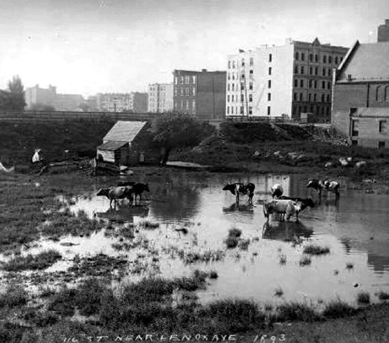 The Birth of Black Harlem: On the Road to a Renaissance - The Bowery ...