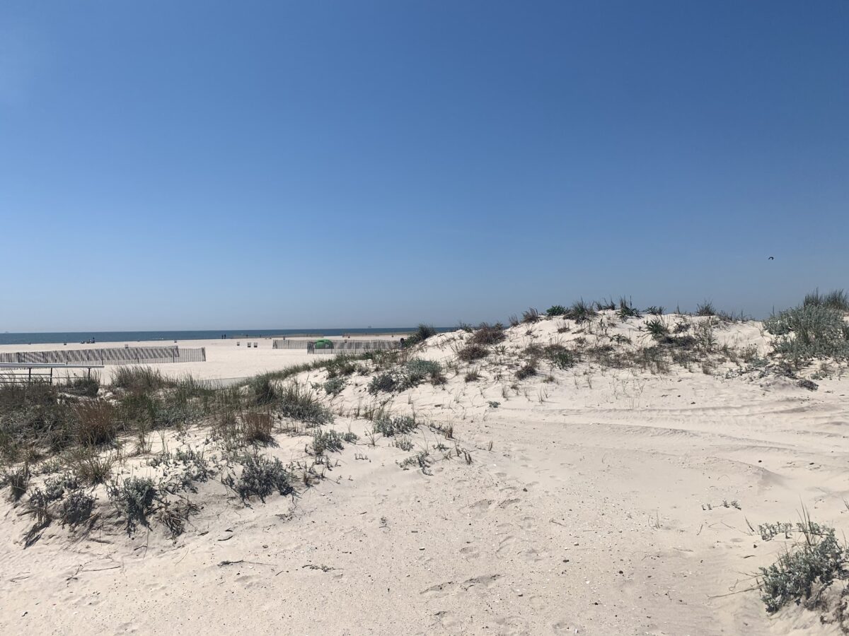 The Sunny Saga of Jones Beach: Sand, Surf and Robert Moses - The Bowery ...