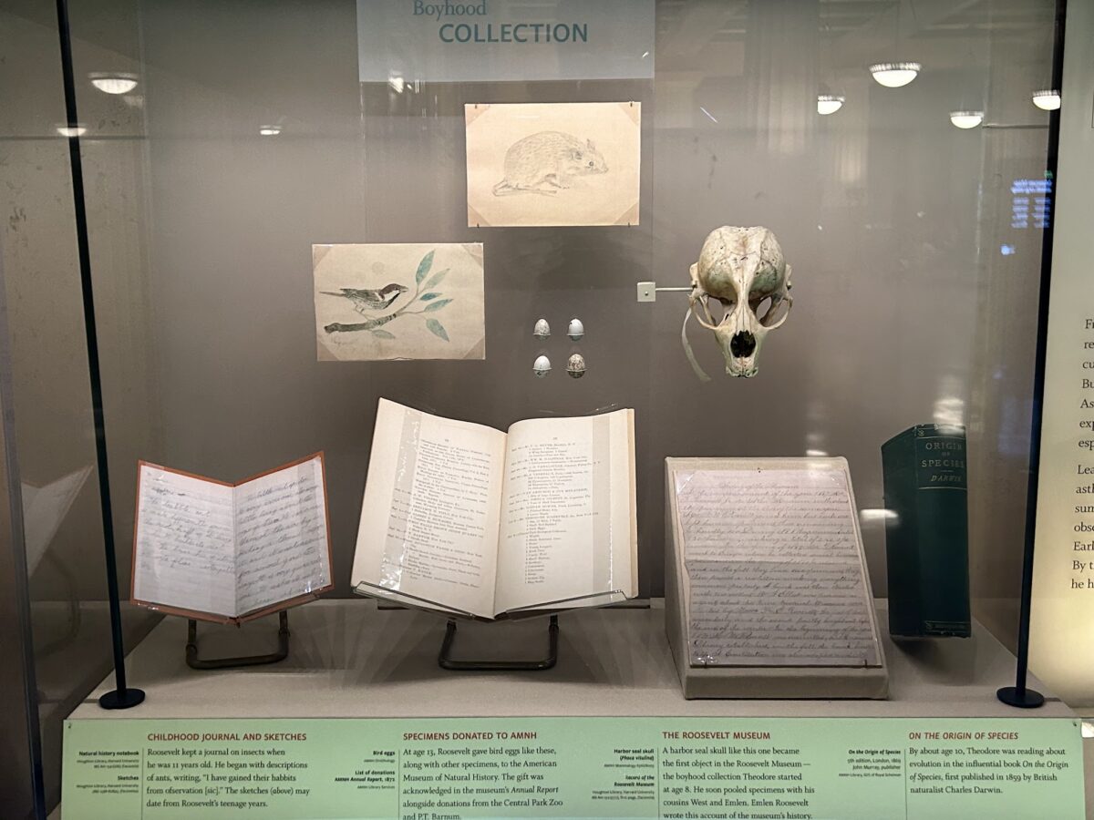 Theodore Roosevelt's Wild Kingdom: American conservation history with ...