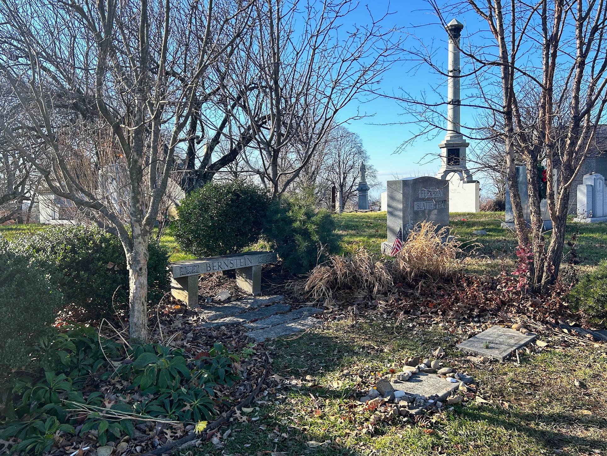 Leonard Bernstein's New York, New York - The Bowery Boys: New York City ...