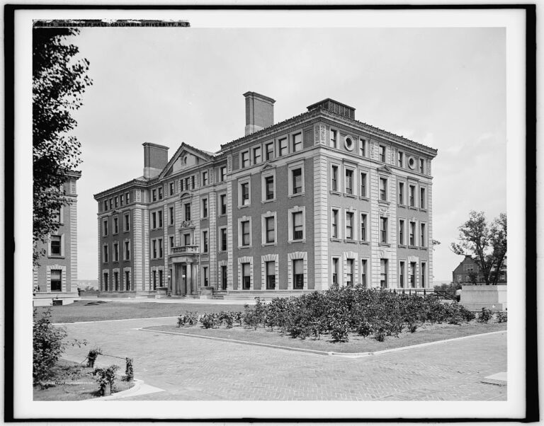 Behind the Domino Sign: The Story of Brooklyn's Bittersweet Empire ...