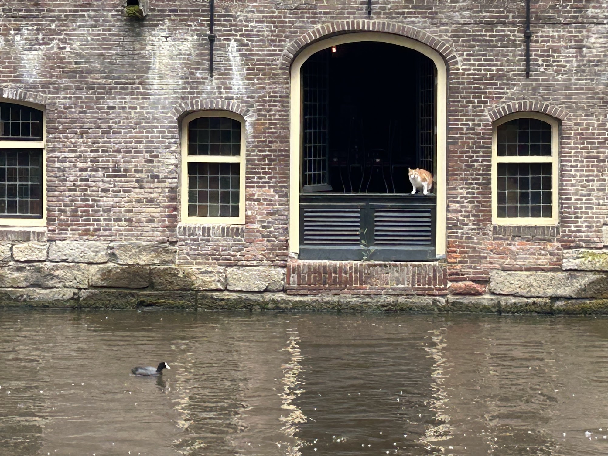 Haarlem, Breukelen, Utrecht: Exploring New York's Dutch Roots - The ...