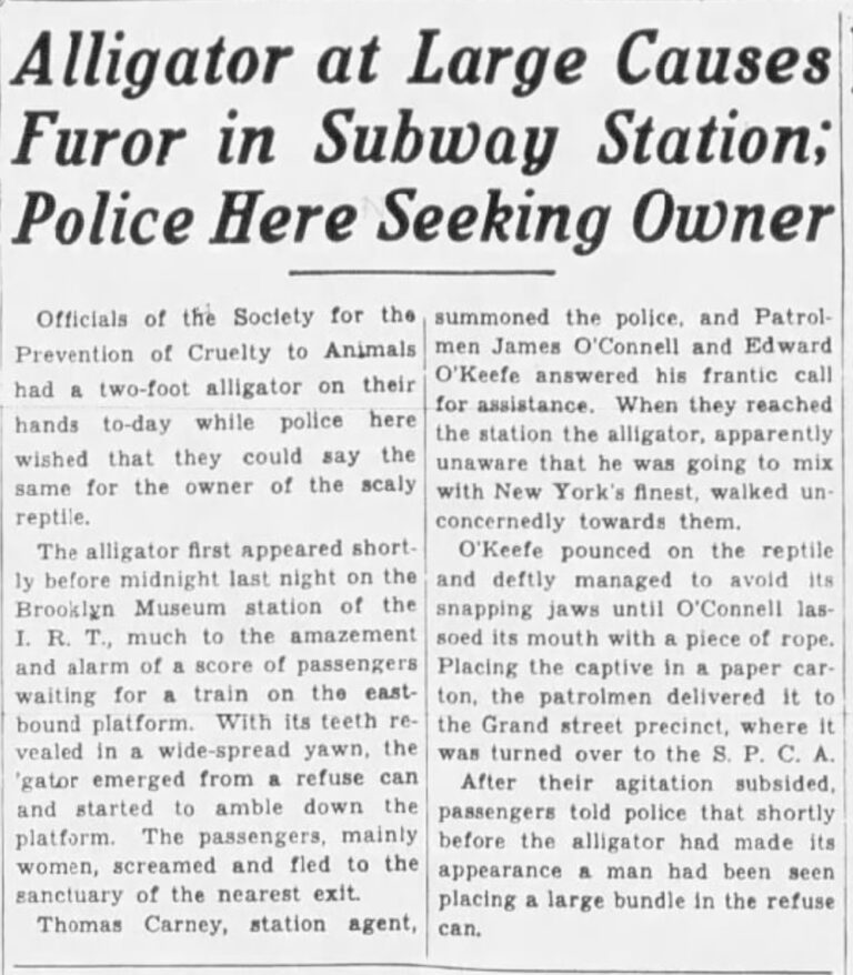Urban Legends of New York City: Alligators, Maniacs and Aliens, Oh My ...