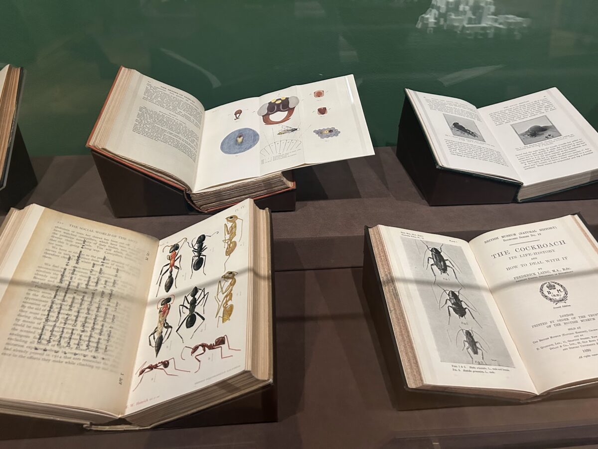 Mr. Morgan and His Magnificent Library: A 'Bookman's Paradise' on ...